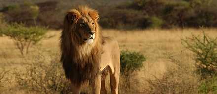 Wonders of Caprivi Safari: Eight Game Reserves in Two Weeks | Zicasso