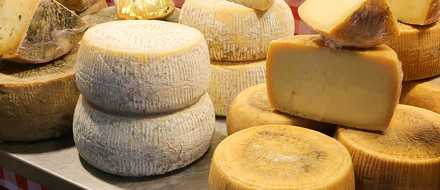 Flavors of the Vine & Countryside: Exploring Italy’s Slow Food Movement ...