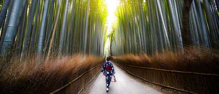 Japan Tour of Picturesque Nature, Imperial Glory, and Cultural Depth ...