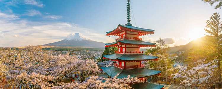 Japan Tours in 2025 | Zicasso