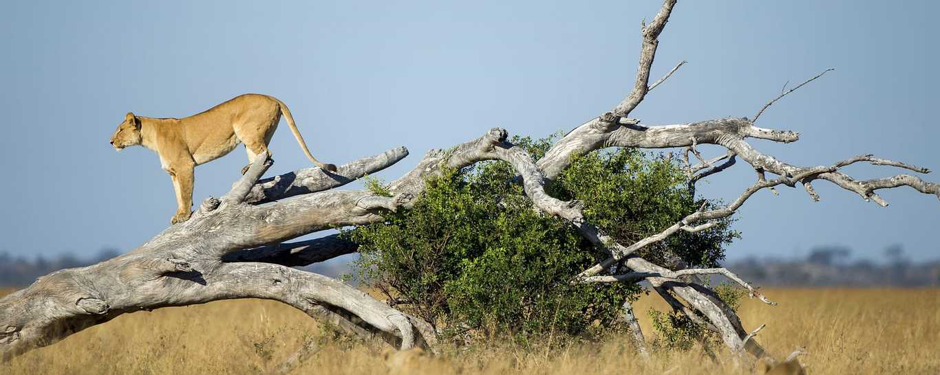 Our Southern Africa Travel Specialists | Zicasso
