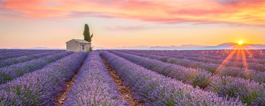 Best Southern France Tours & Vacations | Zicasso