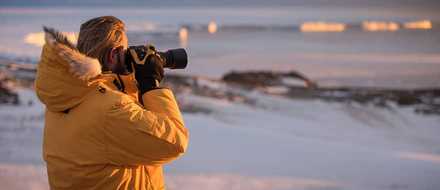Polar Photography Tour: Iconic wildlife and Stunning Nature of ...